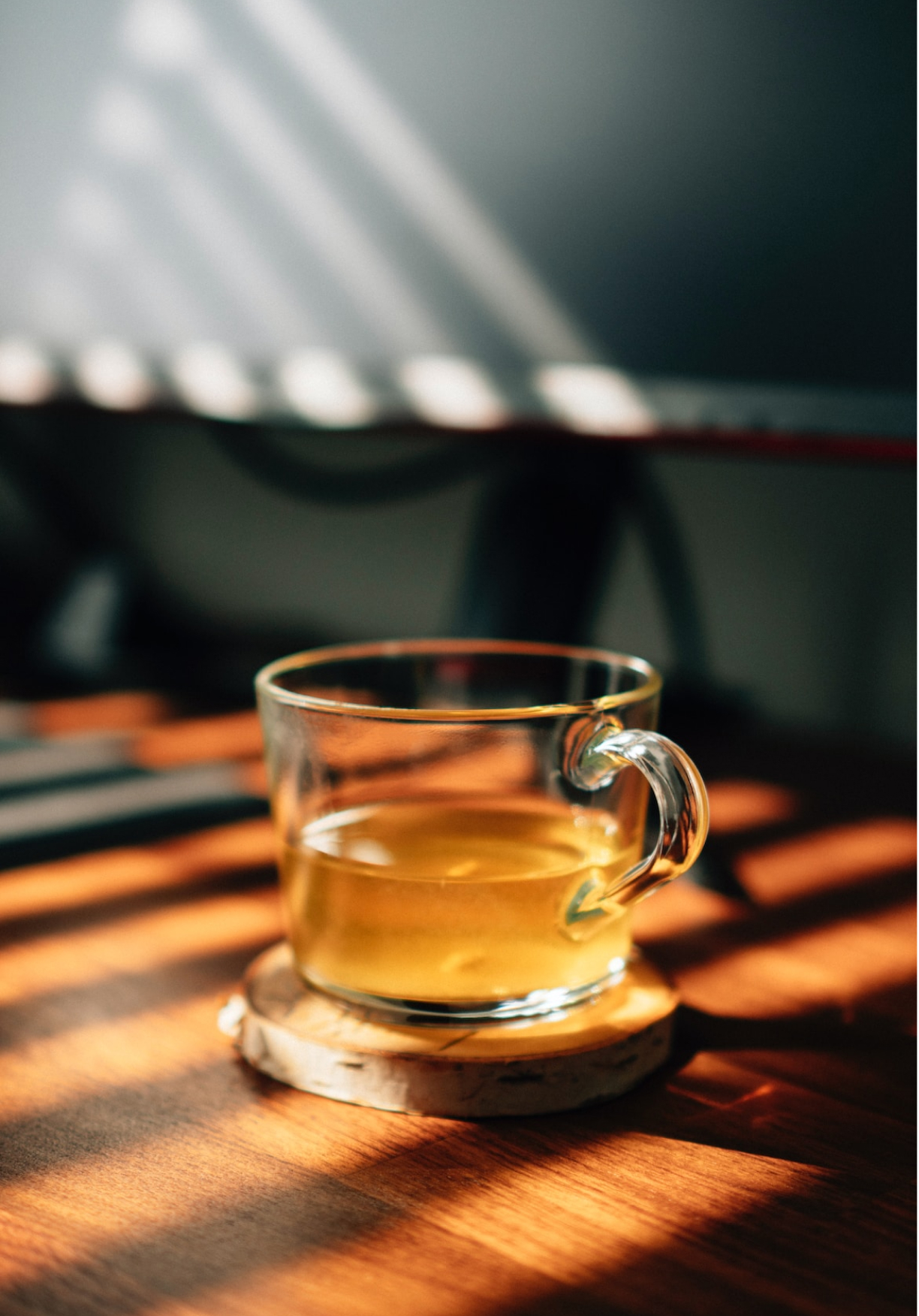 Menu - Megalong Tea Rooms