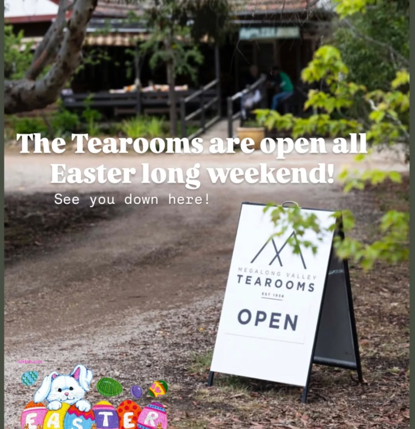 Menu - Megalong Tea Rooms